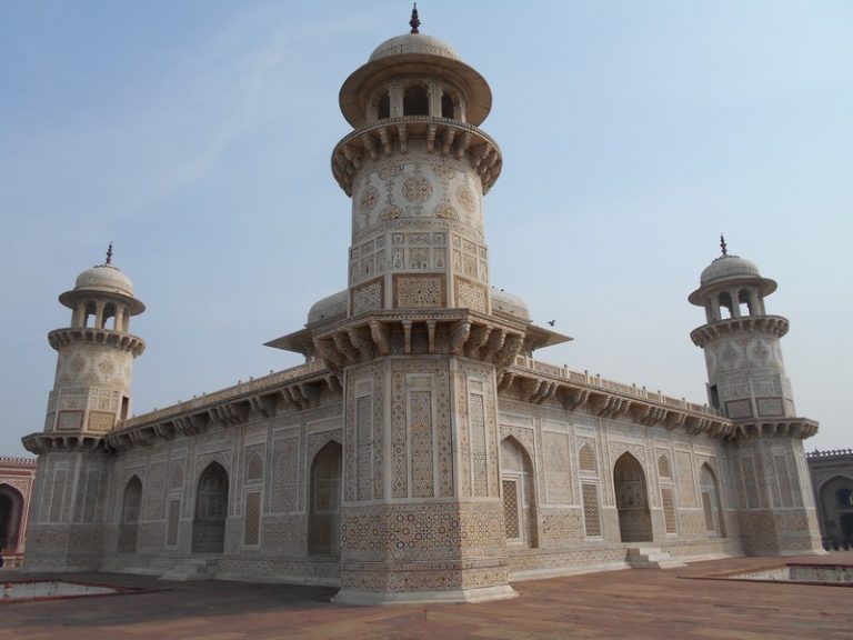 What's so special about Baby Taj - While You Stay Home