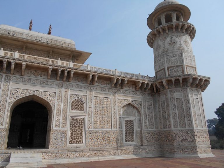 What's so special about Baby Taj - While You Stay Home