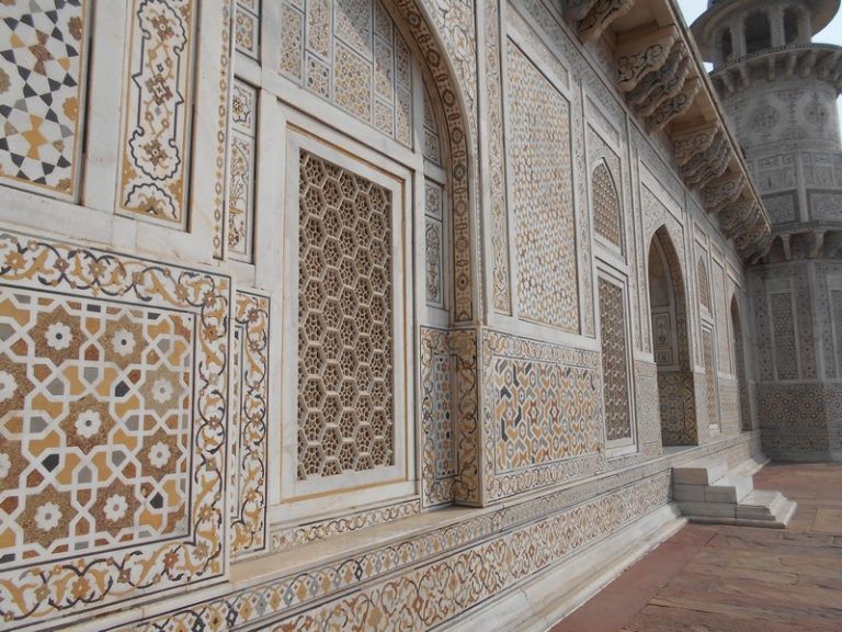 What's so special about Baby Taj - While You Stay Home