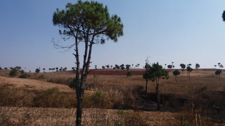 Slow train to Thazi from Inle Lake in Myanmar - While You Stay Home