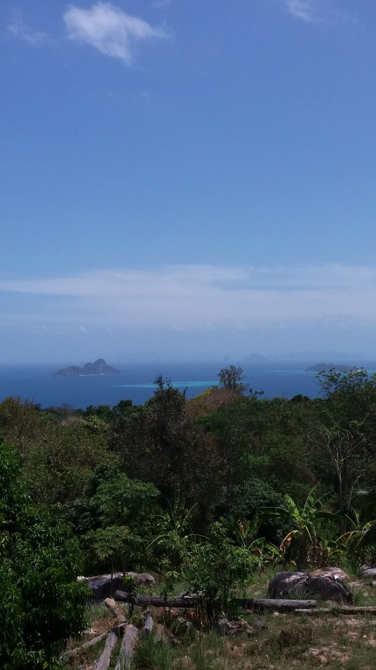 The most amazing view of Phi Phi viewpoint - While You Stay Home