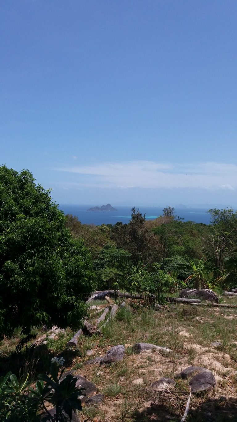 The most amazing view of Phi Phi viewpoint - While You Stay Home