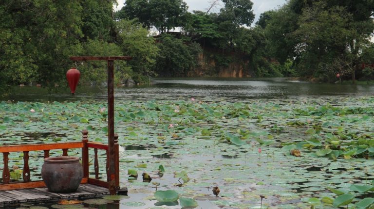 Bien Hoa, Buu Long tourist area: Ho Chi Minh day trip - While You Stay Home