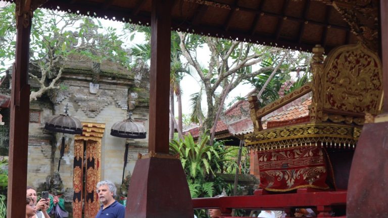Ubud: exploring the city center - While You Stay Home