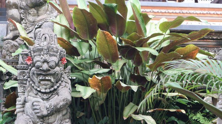 Ubud: exploring the city center - While You Stay Home