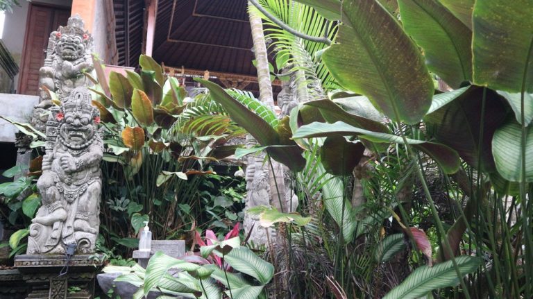 Ubud: exploring the city center - While You Stay Home