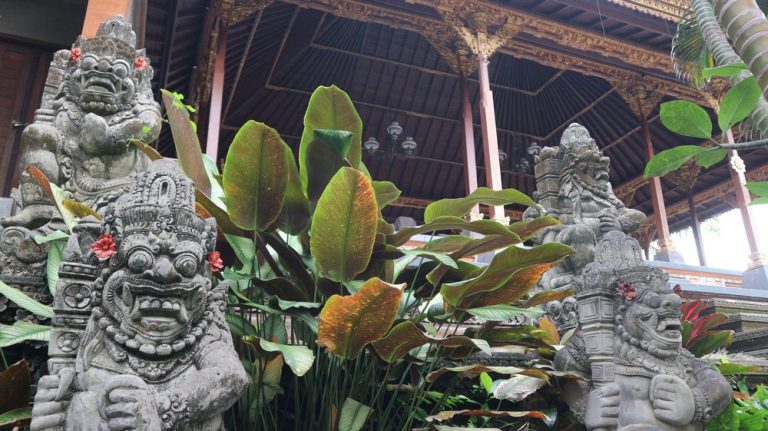 Ubud: exploring the city center - While You Stay Home
