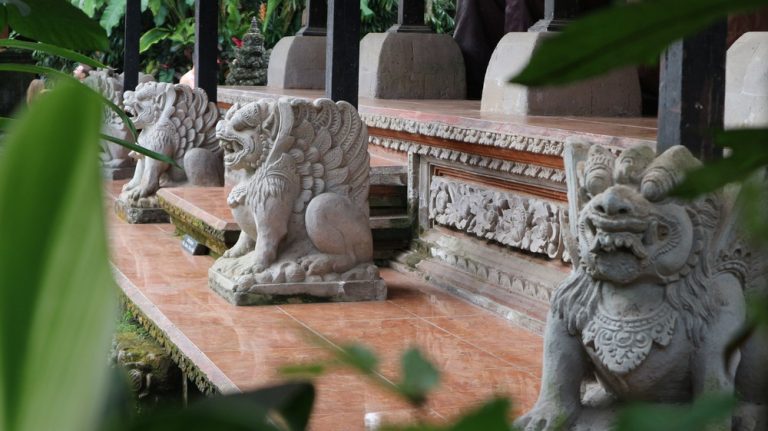 Ubud: exploring the city center - While You Stay Home