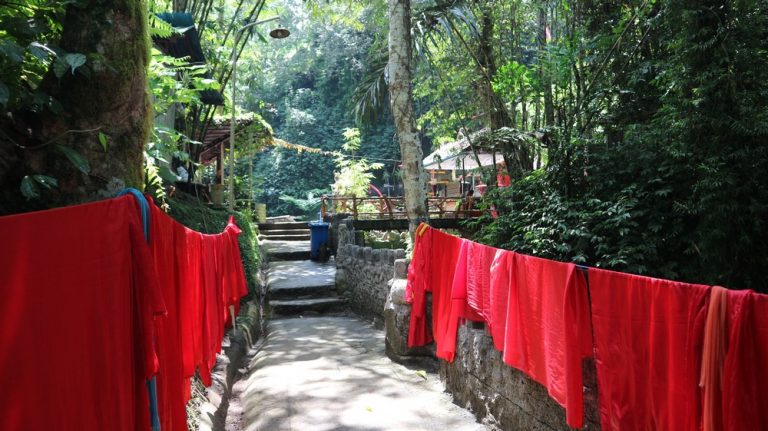 Ubud temple and waterfalls, a day trip - While You Stay Home