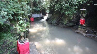 Ubud temple and waterfalls, a day trip - While You Stay Home
