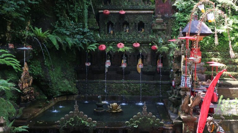 Ubud temple and waterfalls, a day trip - While You Stay Home