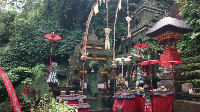Ubud temple and waterfalls, a day trip - While You Stay Home