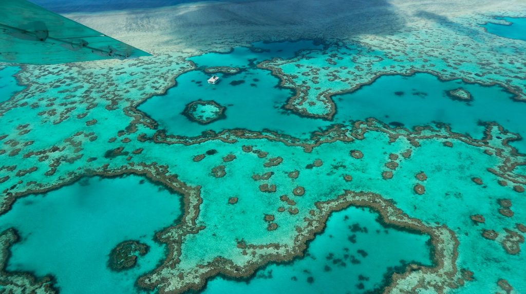 Great Barrier Reef scenic flight from Airlie beach - While You Stay Home
